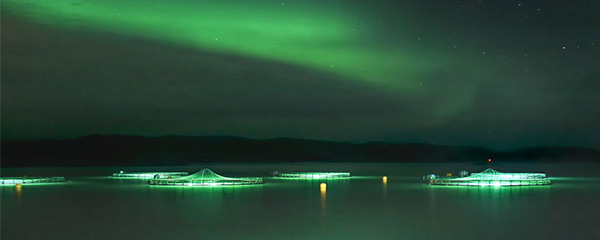 A tale of transformation - Pescatech