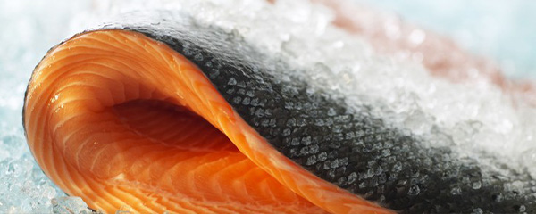 The lighthouse of fresh fish and seafood - Pescatech