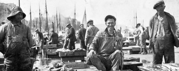 Lerøy Midt and Aurora - Pescatech